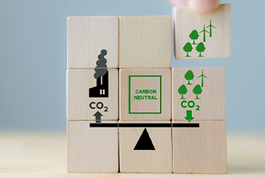 Carbon Asset Development - Global Sustainable